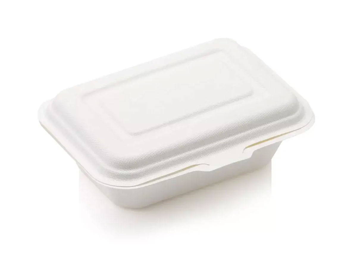 Bagasse Catalogue – Eco-friendly Packaging » King Pack