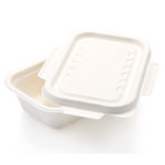 650ml Sugar Cane Deli Takeaway Container (50) » King Pack