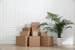 Corrugated Eco Boxes » King Pack