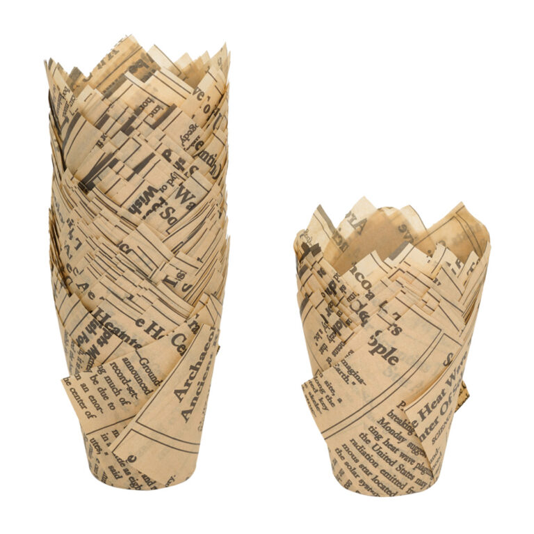 King Pack: Sustainable & Eco-Friendly Food Packaging Supplier