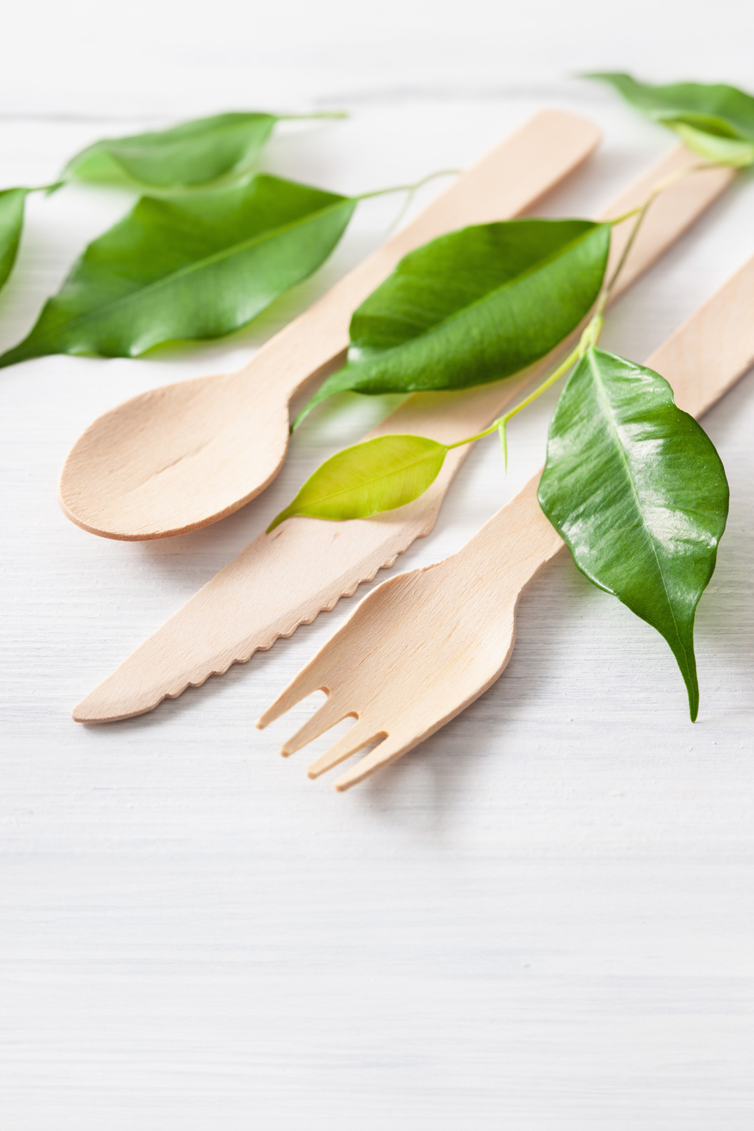 King Pack: Sustainable & Eco-Friendly Food Packaging Supplier