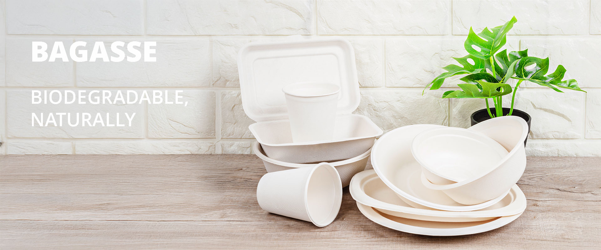 King Pack: Sustainable & Eco-Friendly Food Packaging Supplier